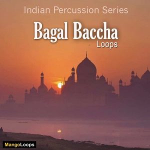 Mango Loops Indian Percussion Series All Packs - Plugintorrent