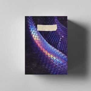 stoopid lou Trap Guitar Pack WAV - Plugintorrent