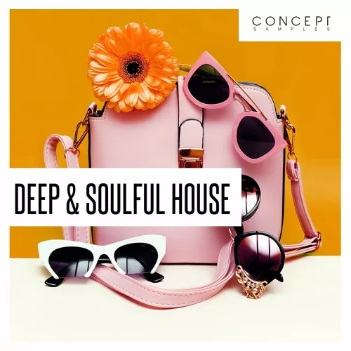 Concept Samples Deep & Soulful House WAV - Plugintorrent