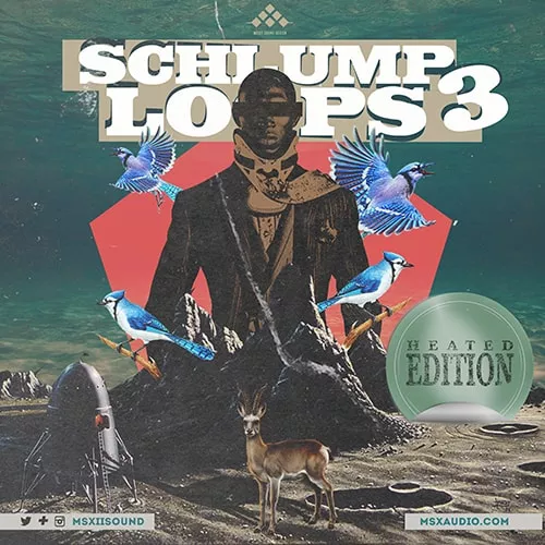 MSXII Sound Schlump Loops 3 WAV - Plugintorrent