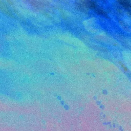 Pat Pardy Broken Modular WAV - Plugintorrent